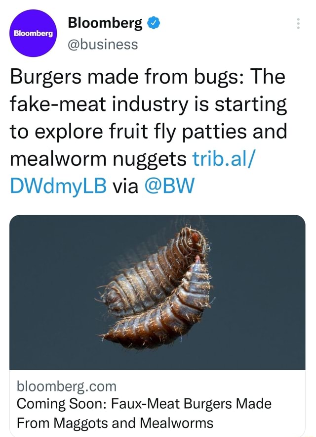 SS Bloomberg @business @ @business Burgers made from bugs: The fake ...