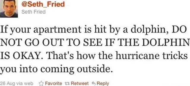 @Seth_Fried Seth Fried If your apartment is hit by a dolphin, DO NOT GO ...