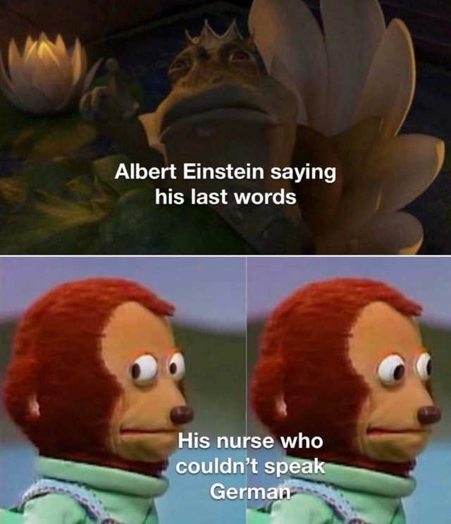 Albert Einstein saying his last words His nurse who couldn't speak ...
