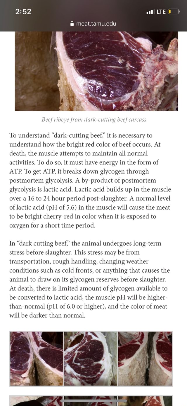 Meat.tamu.edu Beef ribeye from dark-cutting beef carcass To understand ...