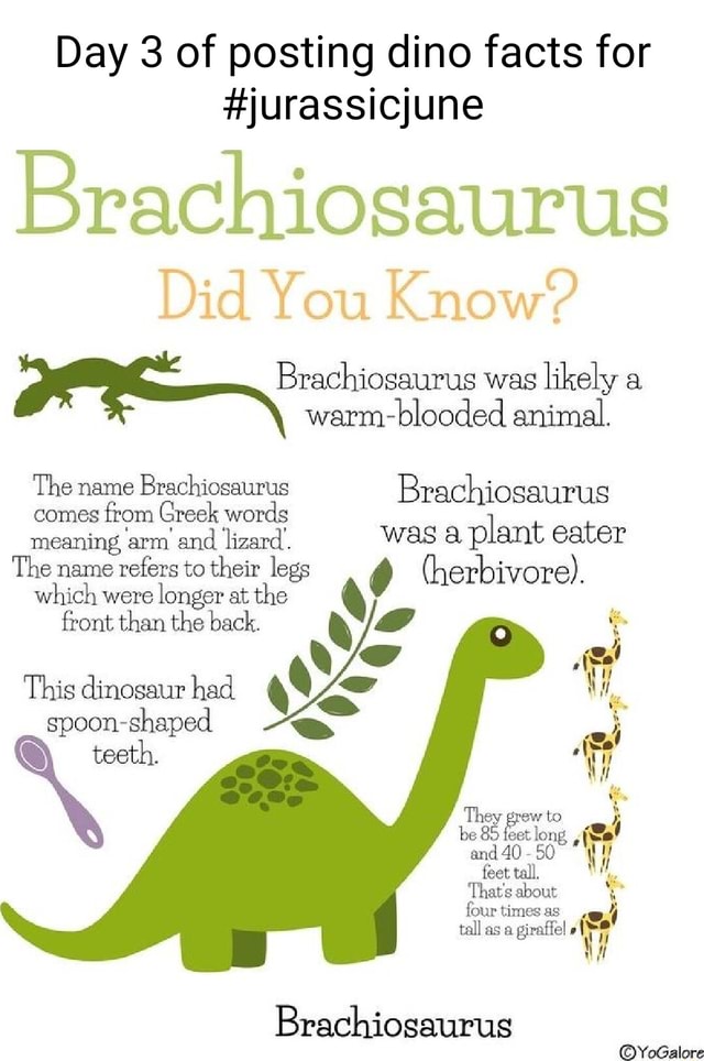 Day 3 of posting dino facts for #jurassicjune Did Brachiosaurus did YOu ...