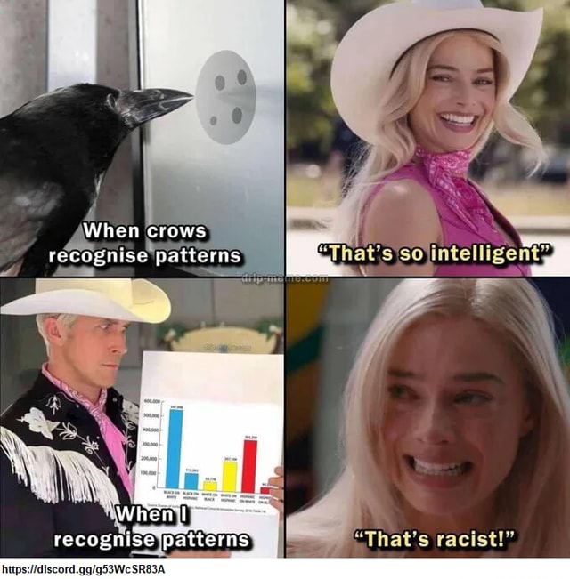 When crows recognise patterns recognise pattems "That's racist!" - iFunny