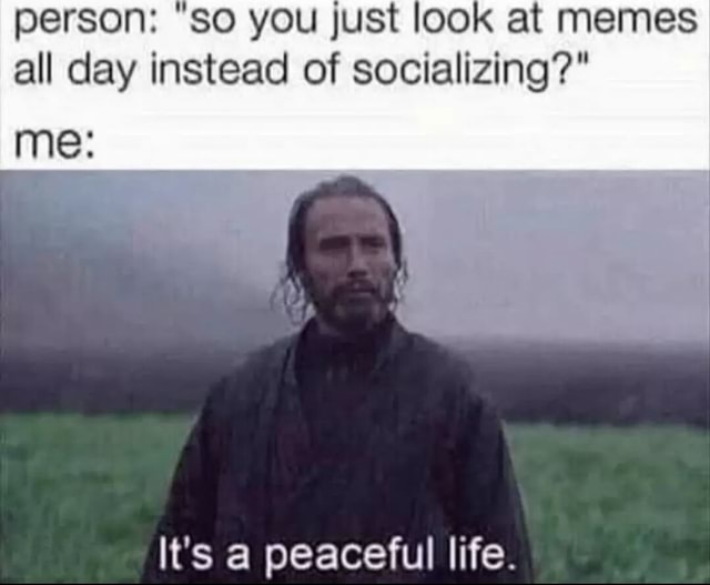 Person: "SO you just look at memes all day instead of socializing?" me ...