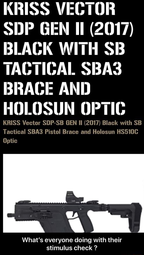 KRISS VECTOR BLACK WITH SB TACTICAL SBA3 BRACE AND HOLOSUN OPTIC KRISS ...