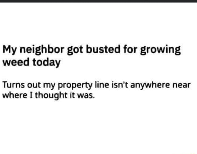 My neighbor got busted for growing weed today Turns out my property ...