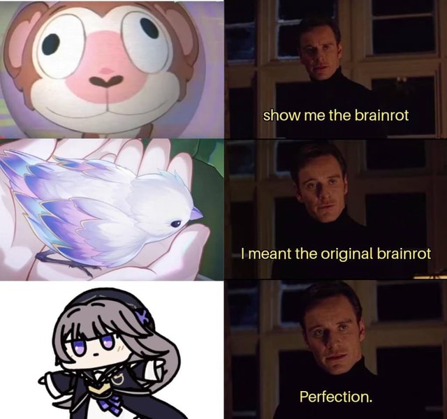 Show me the brainrot I meant the original brainrot Perfection. - iFunny