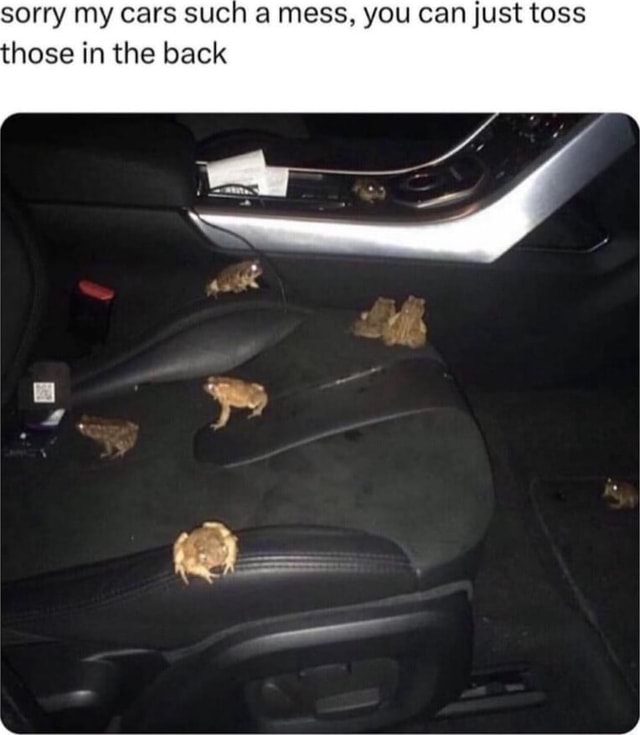 Sorry my cars such a mess, you can just toss hose in the back - iFunny