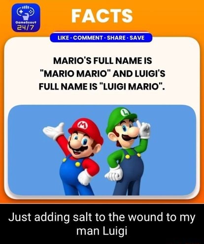 MARIO'S FULL NAME IS "MARIO MARIO" AND LUIGI'S FULL NAME IS "LUIGI ...