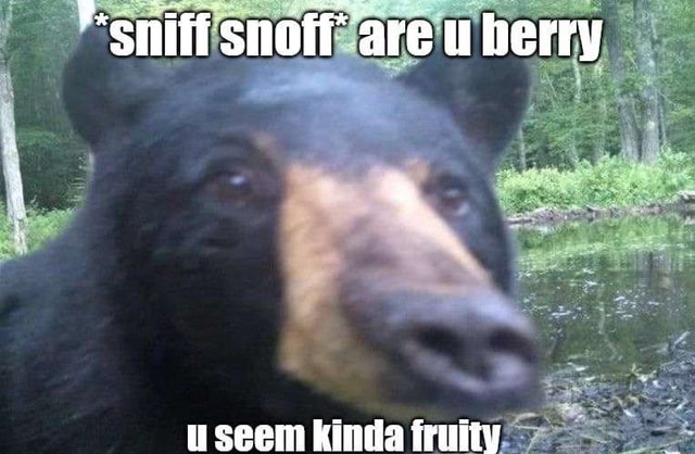 Sniff snoff are u berry useem kinda fruity. - iFunny