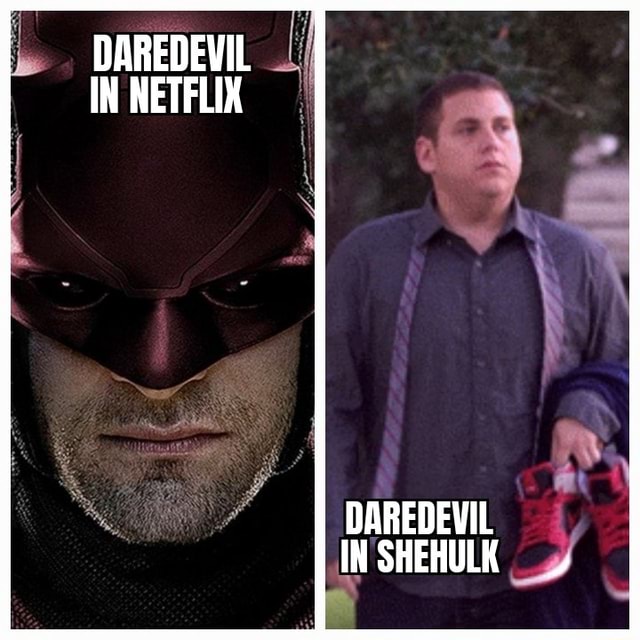 DAREDEVIL IN NETFLIX DAREDEVIL IN SHEHULK - iFunny