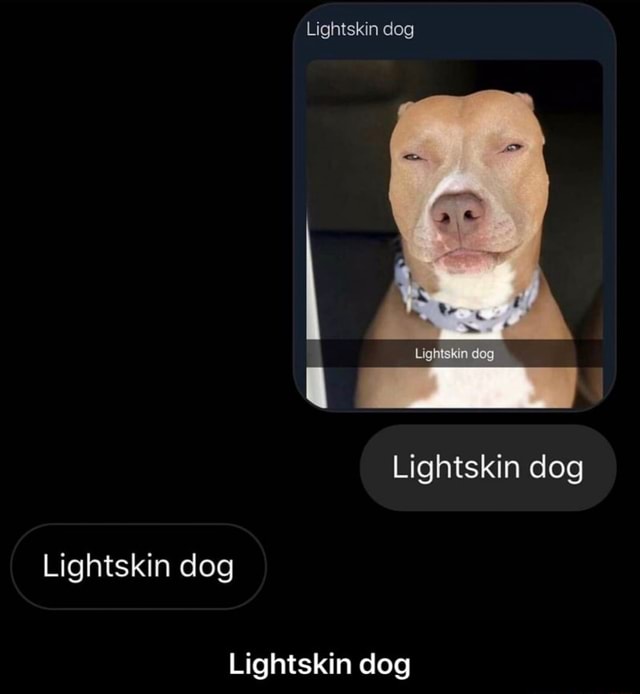 Lightskin dog Lighiskin deg Lightskin dog Lightskin dog Lightskin dog ...