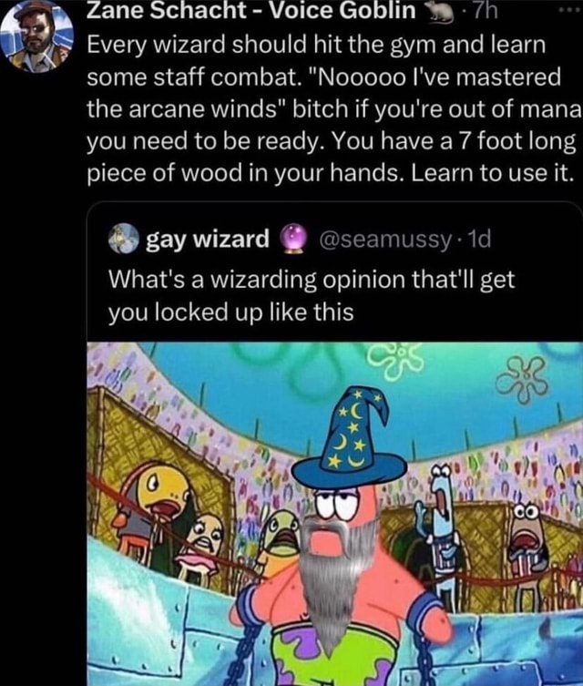 Every wizard should hit the gym and learn some staff combat. "Nooooo I ...