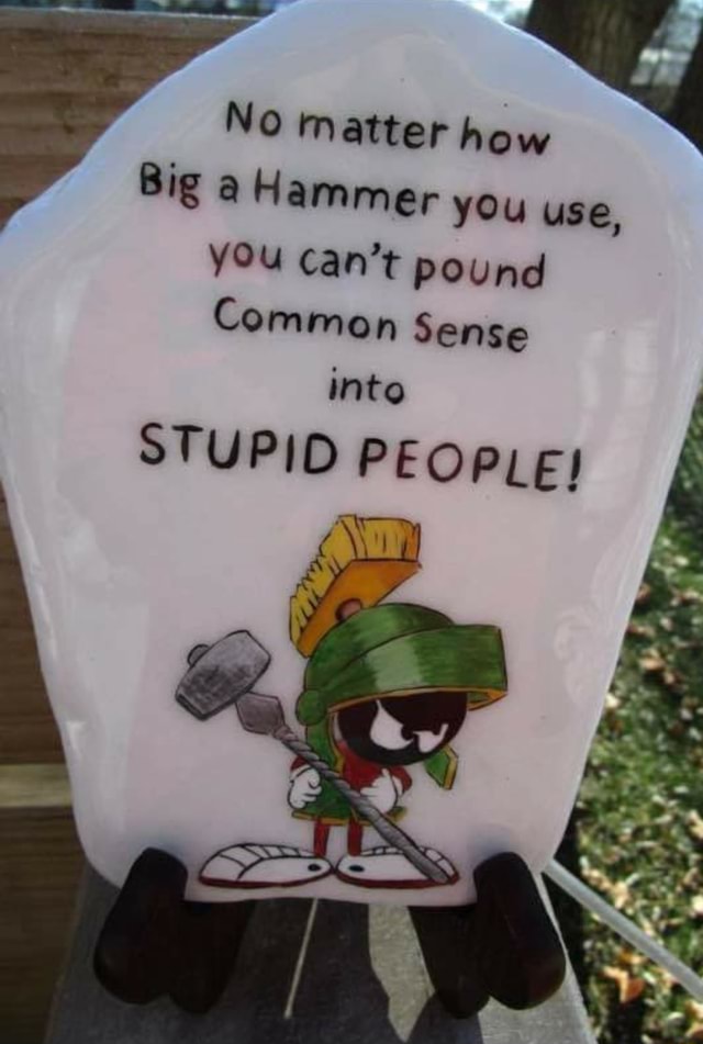 No matter how Big a Hammer yOu use, YOu Can't pound Common Sense into ...