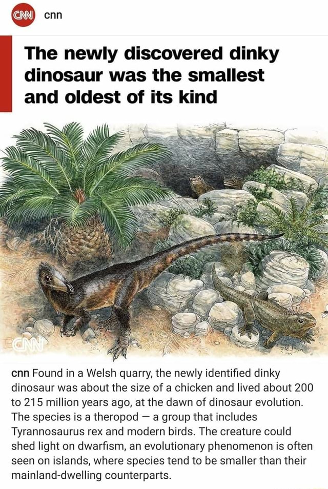 The newly discovered dinky dinosaur was the smallest and oldest of its ...