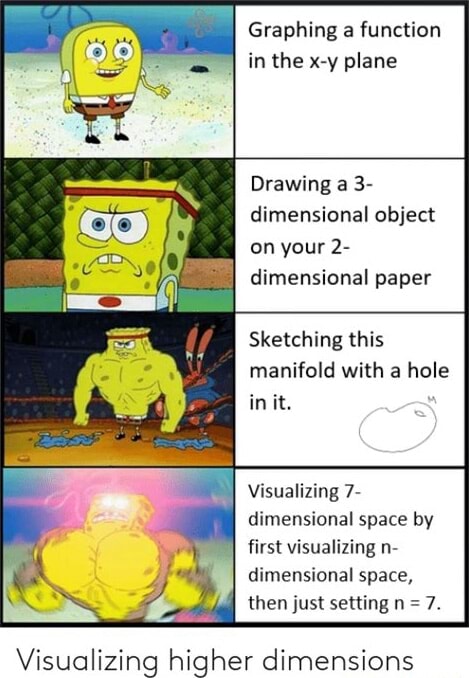 Graphing a function in the x-y plane Drawing a 3- dimensional object on your 2- dimensional ...