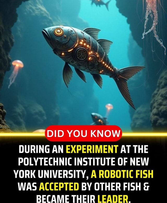 DID YOU KNOW DURING AN EXPERIMENT AT THE POLYTECHNIC INSTITUTE OF NEW ...