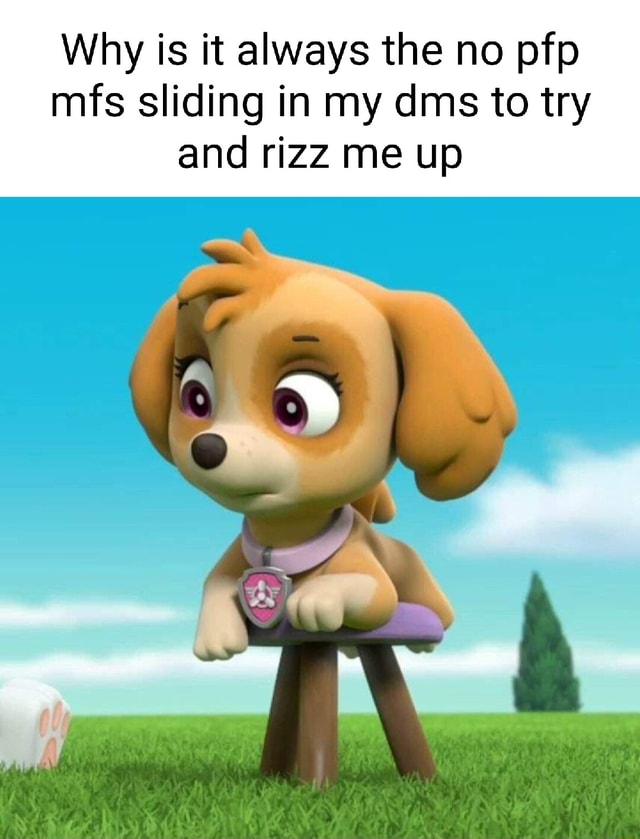 Why is it always the no pfp mrs sliding in my dms to try and rizz me up ...