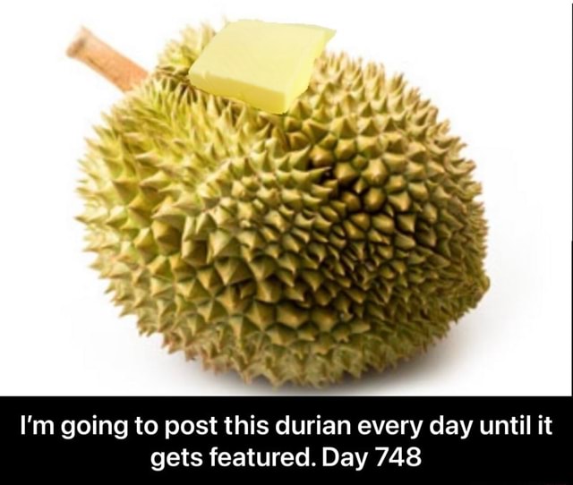 I'm going to post this durian every day until it gets featured. Day 748 ...
