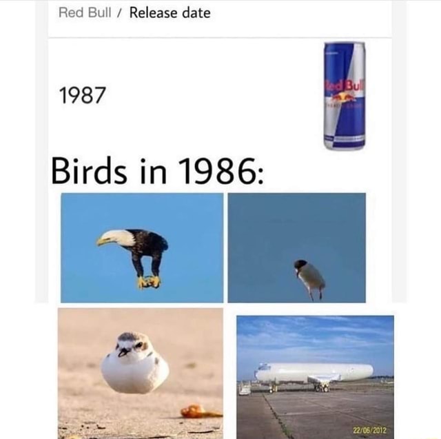 Red Bull / Release date 1987 Birds in 1986: - seo.title