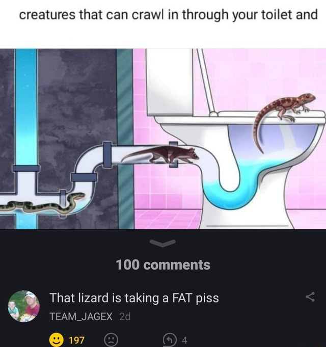 Creatures that can crawl in through your toilet and 100 comments That ...