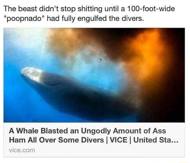 The beast didn't stop shitting until a 100-foot-wide "poopnado" had ...