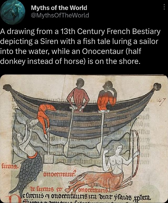 A drawing from a 13th Century French Bestiary depicting a Siren with a ...