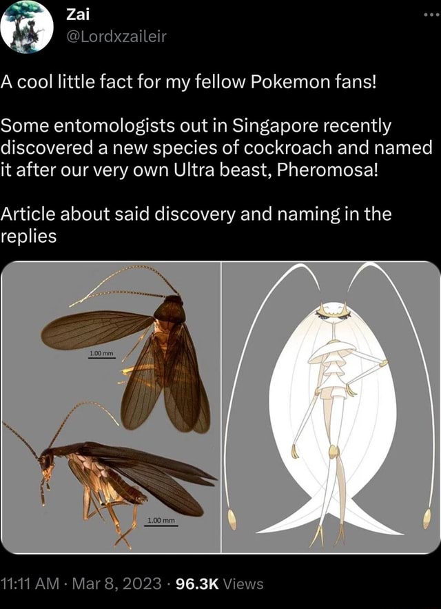 A cool little fact for my fellow Pokemon fans! Some entomologists out ...