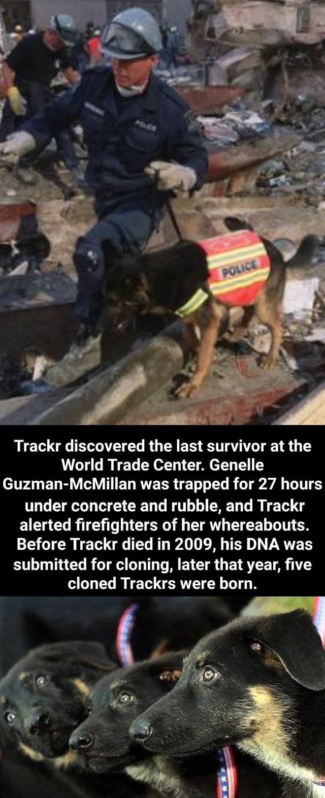 Trackr discovered the last survivor at the World Trade Center. Genelle ...