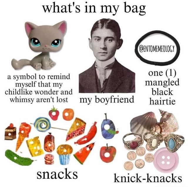 What’s in your bag? Meme by our meme queen Ariel. #entomology # ...