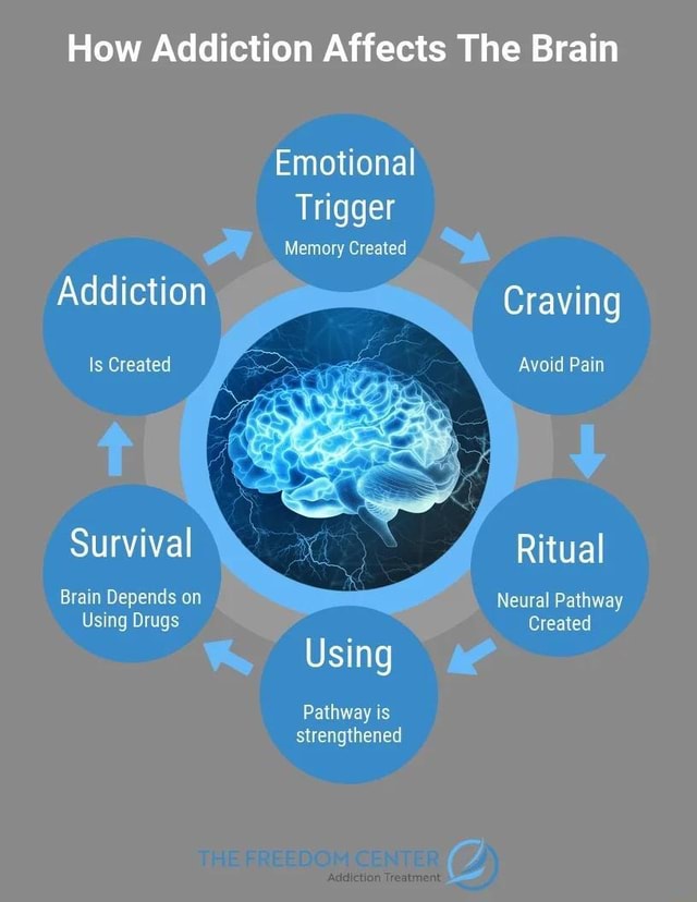 Addiction - How Addiction Affects The Brain Emotional Trigger Memory ...