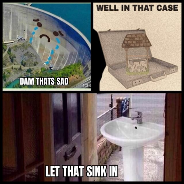 WELL IN THAT CASE DAM THATS SAD LET THAT SINK IN - iFunny
