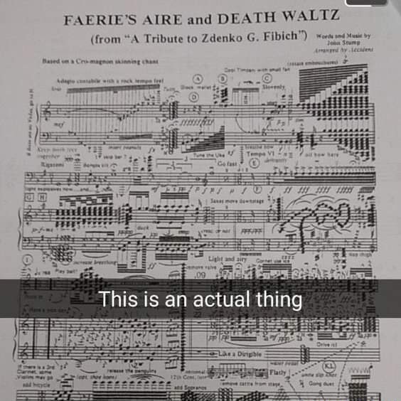 AIRE and DEATH WALTZ "A Tribute to Zdenko G. Fibich") nactual thing ...