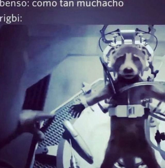 COMO tan rigbi: - iFunny