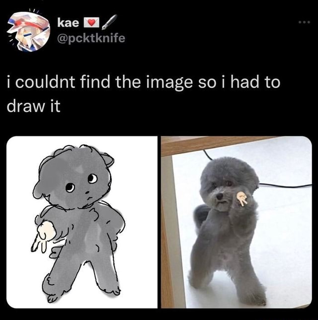 I couldnt find the image so i had to draw it - iFunny