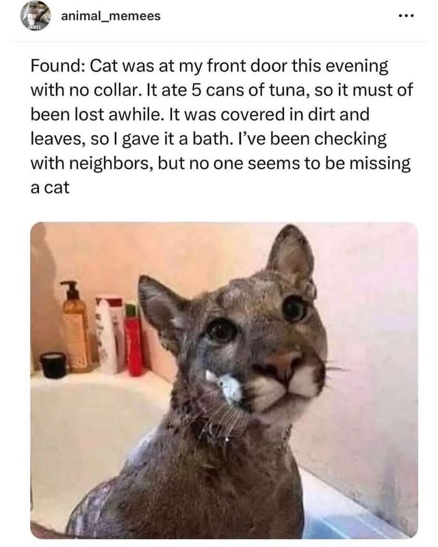 Go follow @animal_memees for more funny animal memes! - animal_ memees ...