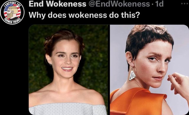 End Wokeness @End Wokeness- Why does wokeness do this? - iFunny