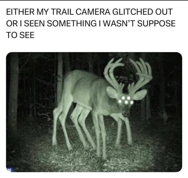 EITHER MY TRAIL CAMERA GLITCHED OUT OR I SEEN SOMETHING I WASN'T ...
