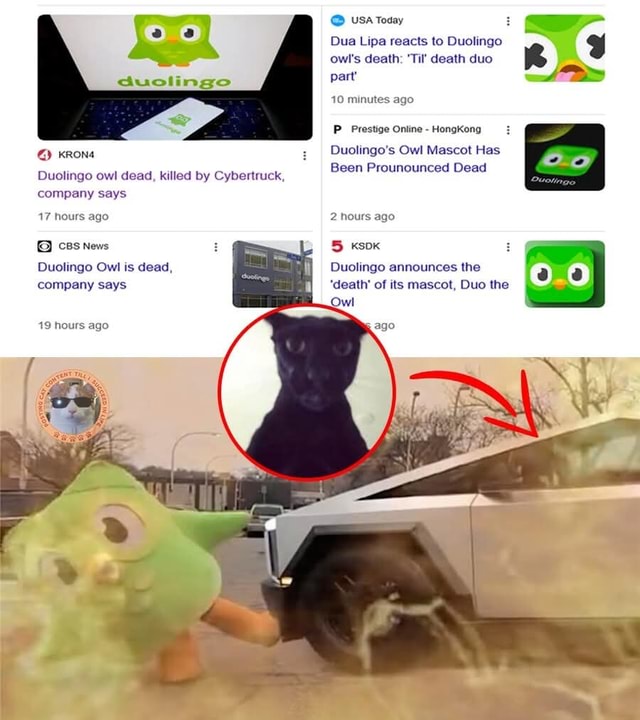 UsA Today Dua Lipa reacts to Duolingo owl's death: 'Til' death duo part ...
