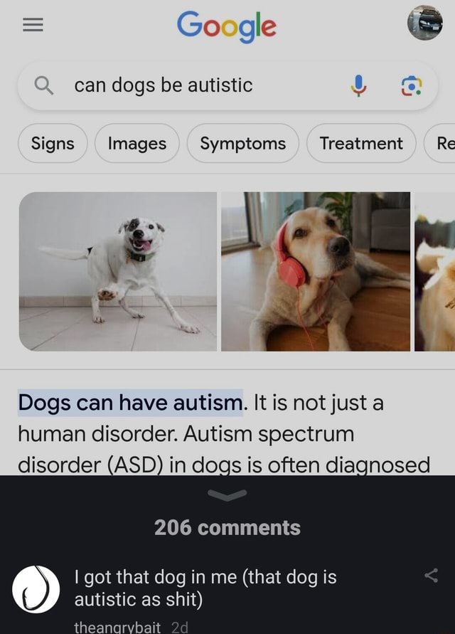 = Go gle can dogs be autistic G, Signs Images Symptoms Treatment Re Ii ...
