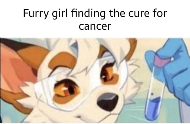 Furry girl finding the cure for cancer a At - iFunny