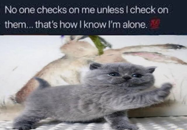 Ne one checks on me unless I check on them... that's how I knew I'm ...