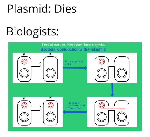 Plasmid: Dies Biologists: - iFunny
