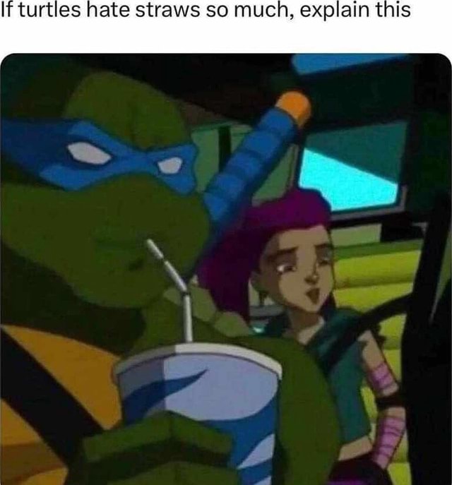 If turtles hate straws so much, explain this I - iFunny