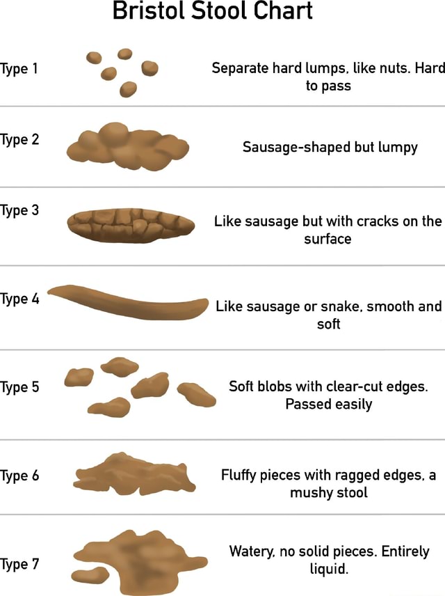 Bristol Stool Chart Type 1 Separate hard lumps. like nuts. Hard to pass ...