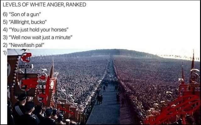 LEVELS OF WHITE ANGER, RANKED 6) "Son of a gun" 5) "Allright, bucko" 4 ...