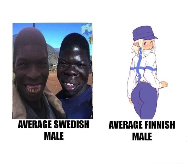 AVERAGE SWEDISH AVERAGE FINNISH MALE MALE - iFunny