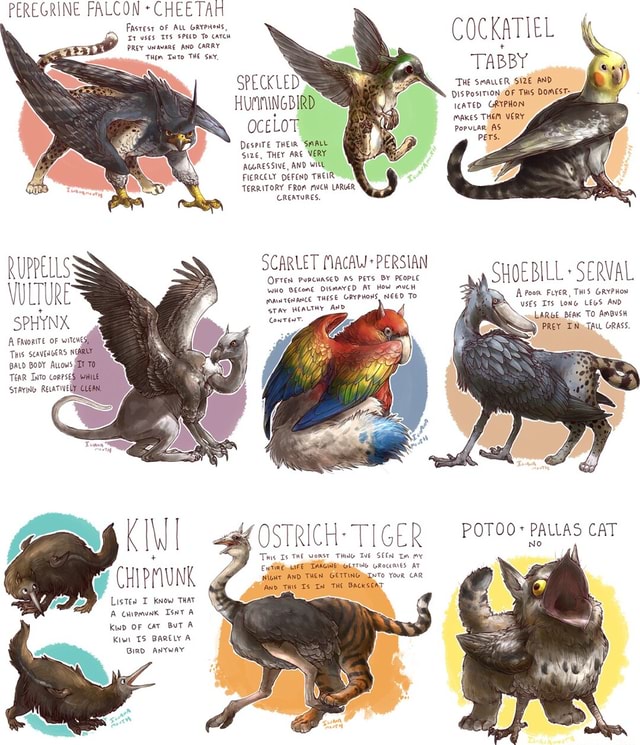 PEREGRINE FALCON CHEETAH TAH Fastest OF ALL GRYPHONS, Tr uses TES $PEED ...