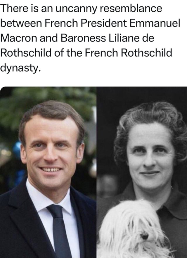 There is an uncanny resemblance between French President Emmanuel ...