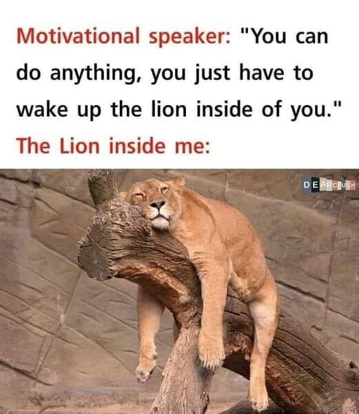 Motivational speaker: "You can do anything, you just have to wake up ...
