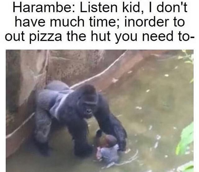 Harambe: Listen kid, I don't have much time; inorder to out pizza the ...